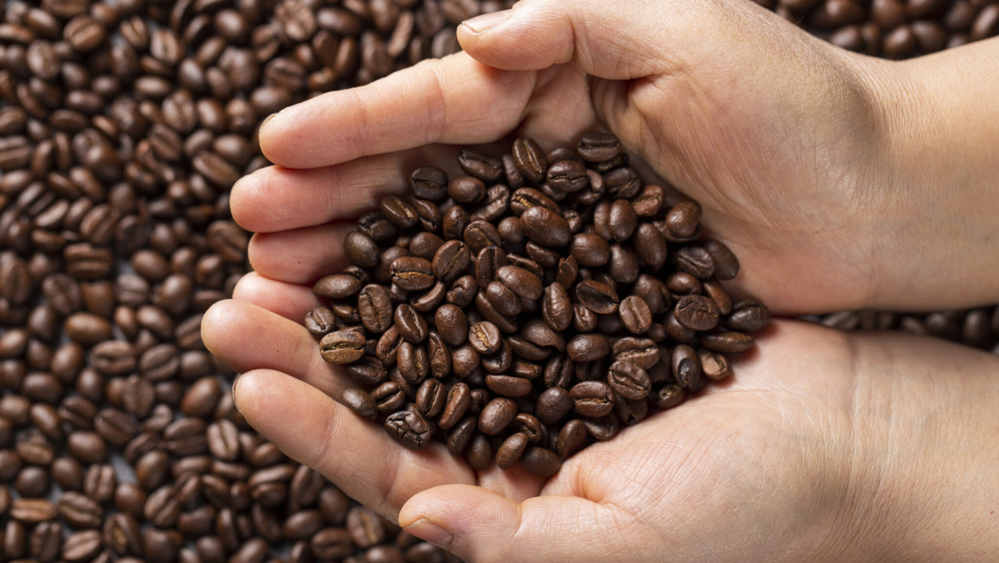 Entenda quais são os diferentes tipos de grãos de café